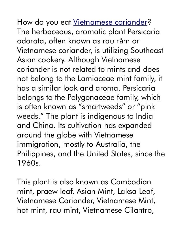 12 Benefits of Vietnamese Coriander.pdf | Gardening | Home & Garden