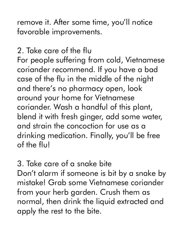 12 Benefits of Vietnamese Coriander.pdf | Gardening | Home & Garden