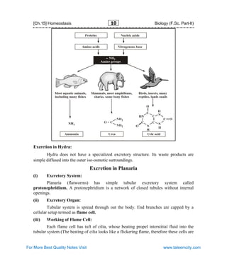 2nd Year Biology Notes by Taleemcity.com
