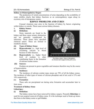 2nd Year Biology Notes by Taleemcity.com