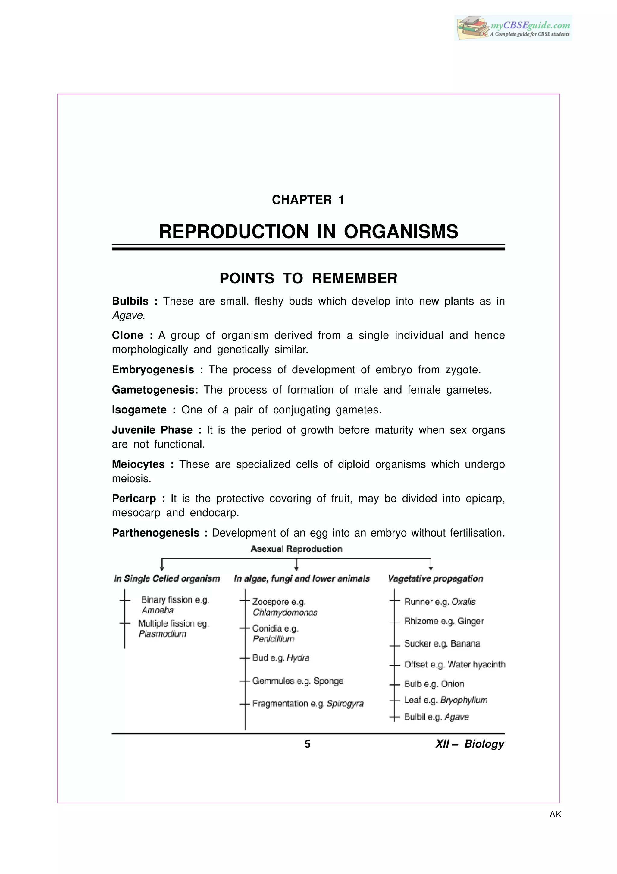12 biology imp_q_ch01_reproduction_in_organisms_01 | PDF