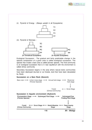 12 biology imp_q_ch14_ecosystem | PDF