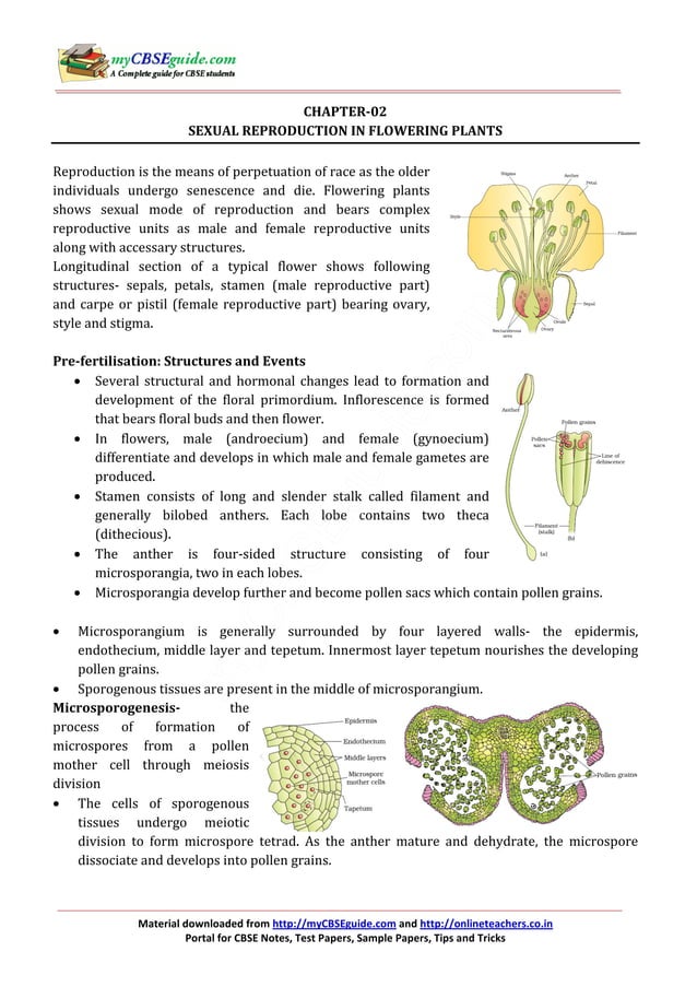 12 biology notes_ch02_sexual_reproduction_in_flowering_plants | PDF ...
