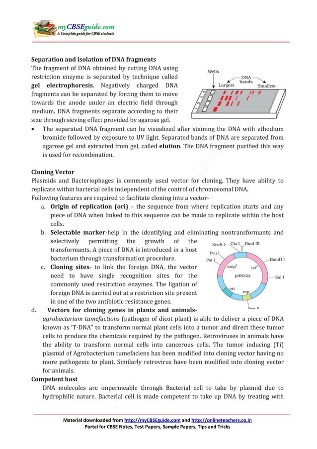 12 s_ch11_biotechnology_principles_and_processes | PDF