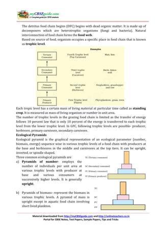12 biology notes_ch14_ecosystem | PDF