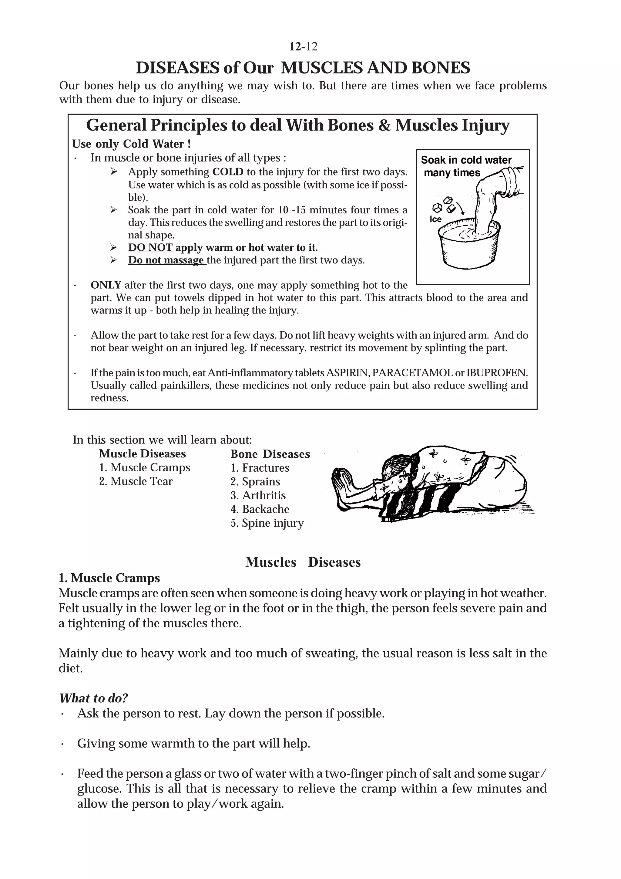 12 bones and muscles | PDF