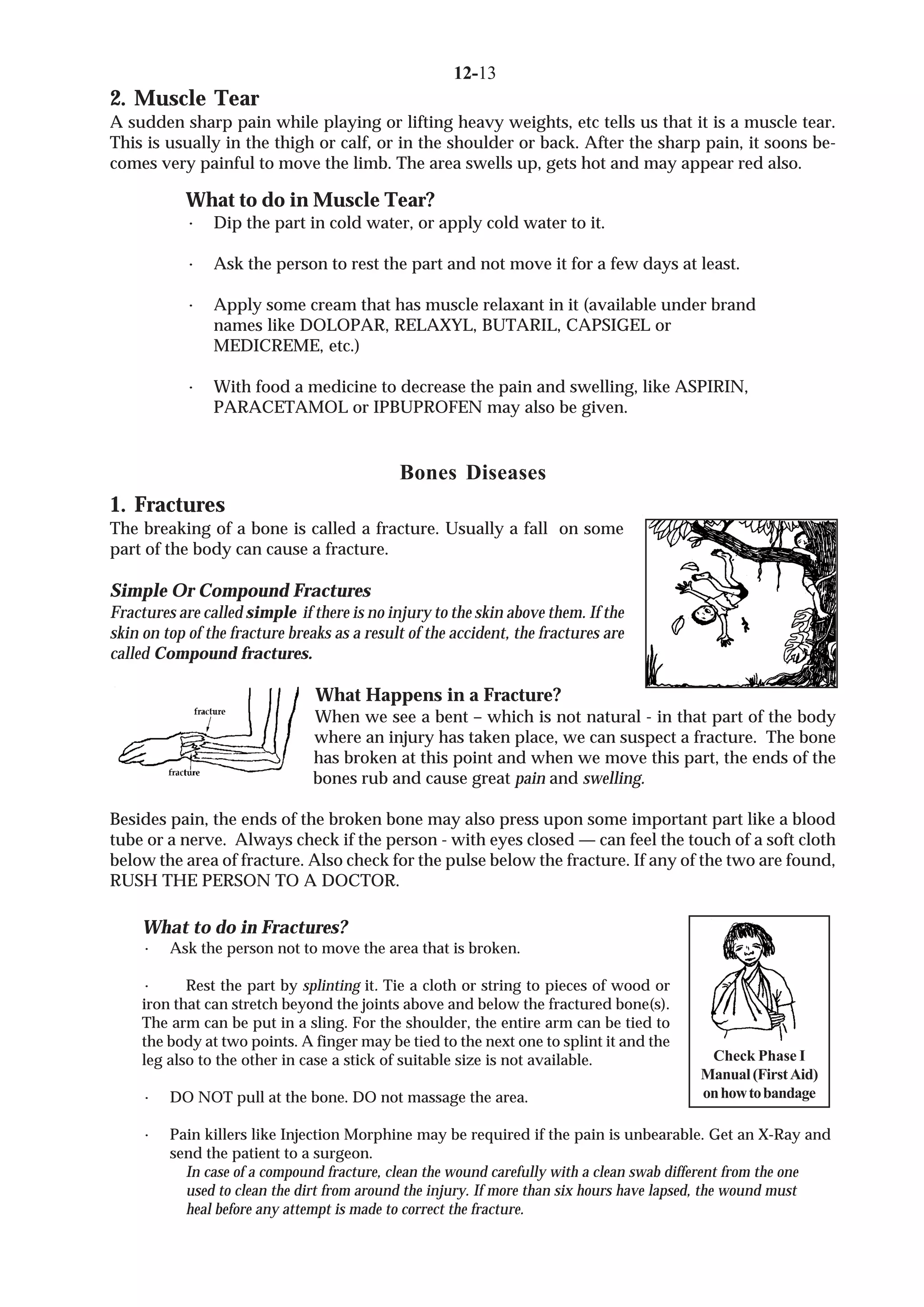 12 bones and muscles | PDF