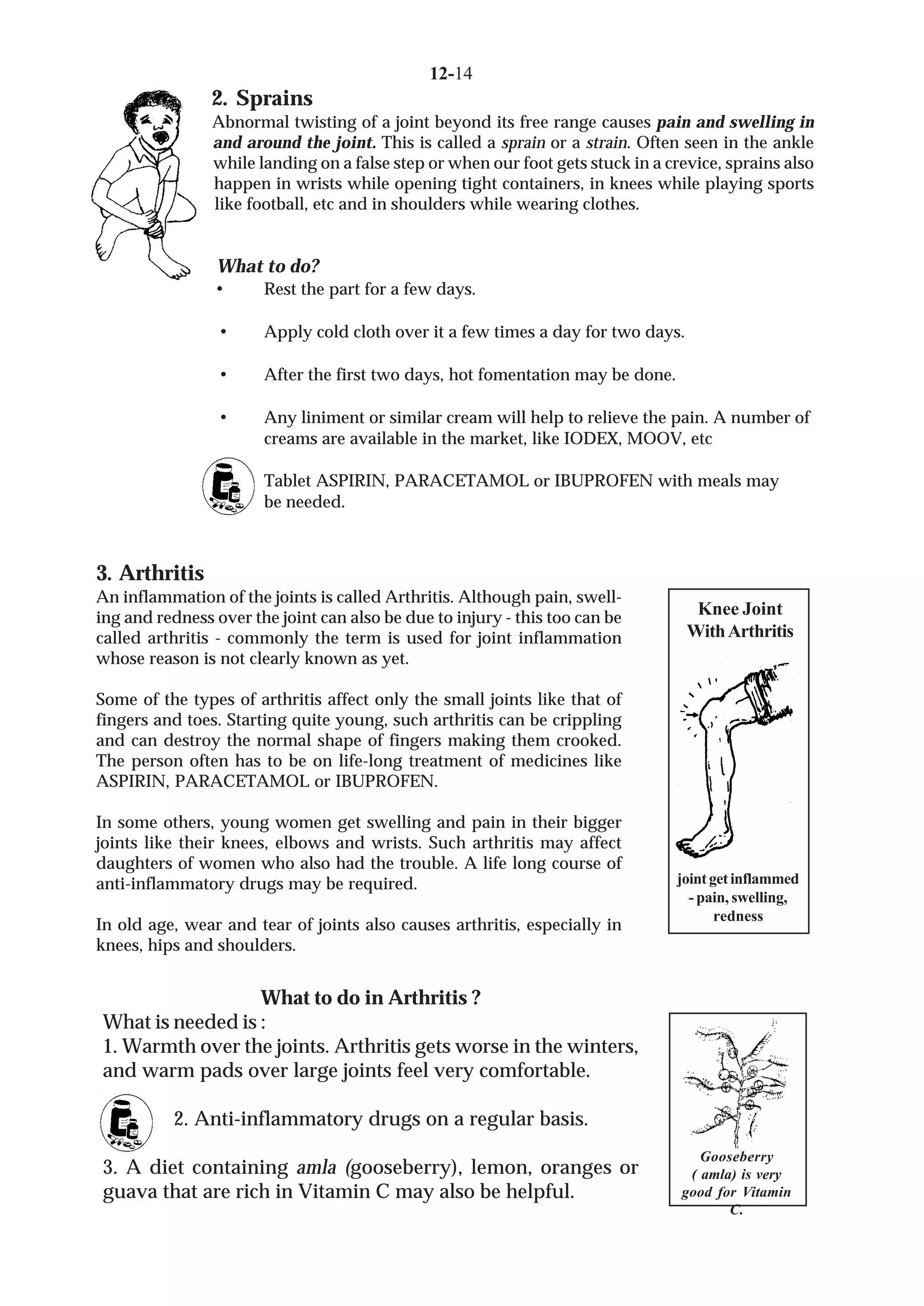 12 bones and muscles | PDF