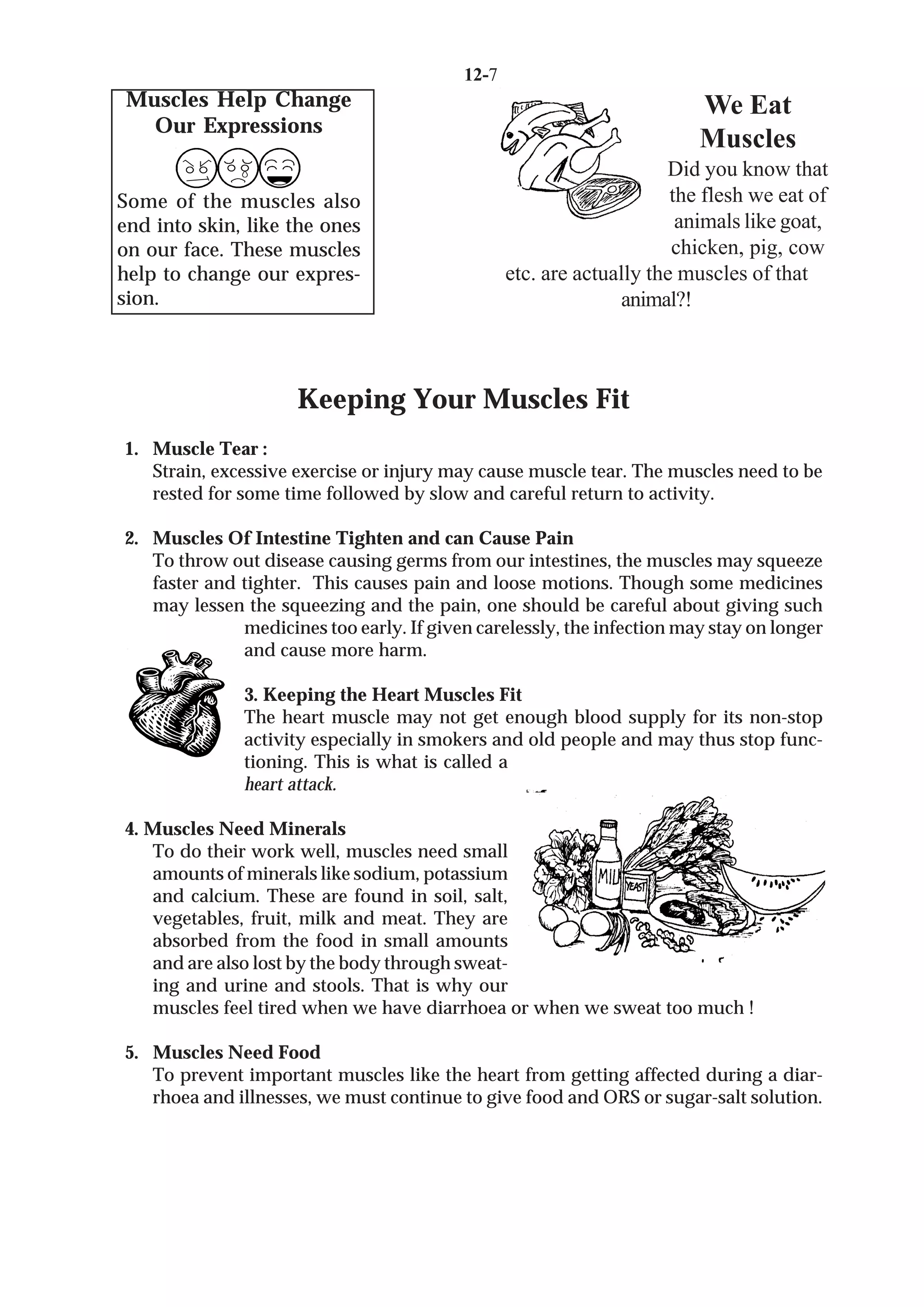 12 bones and muscles | PDF