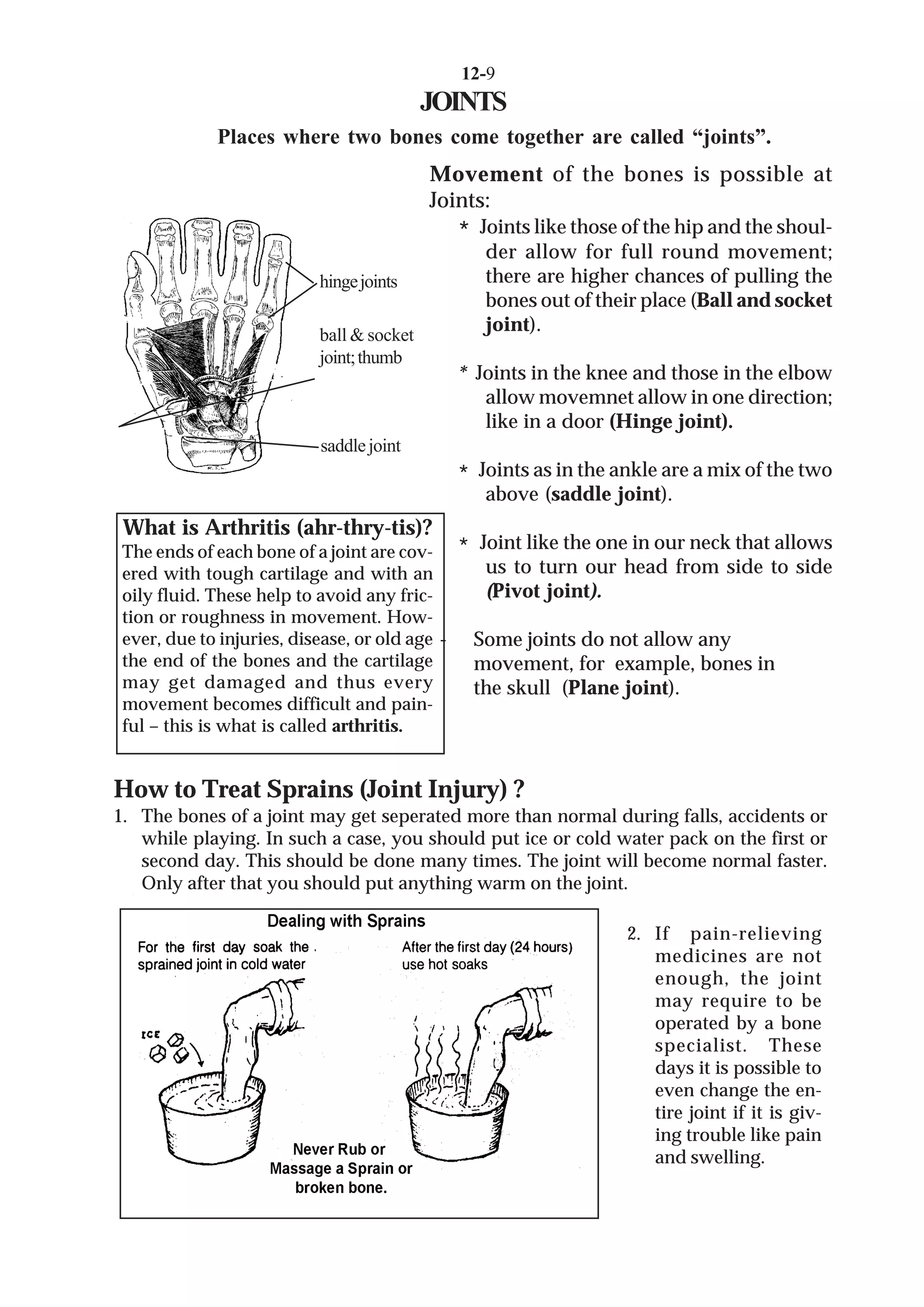 12 bones and muscles | PDF