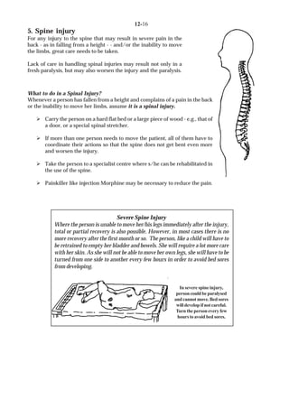 12 bones and muscles | PDF