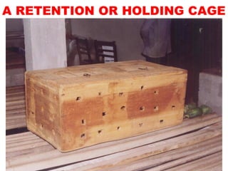 GRASSCUTTER FARMING | PPT