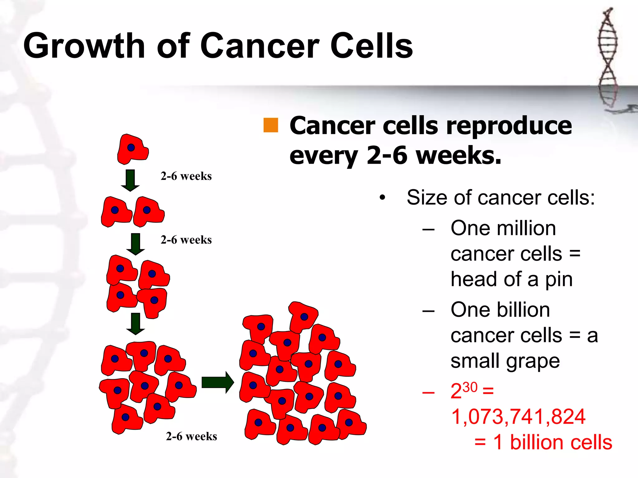 Cancer Prevention | PPTX