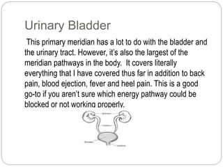 12 channels channels of divergences | PPTX