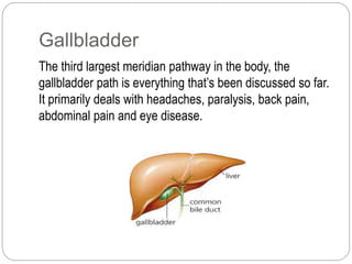 12 channels channels of divergences | PPTX