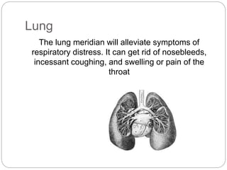 12 channels channels of divergences | PPTX