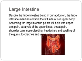 12 channels channels of divergences | PPTX