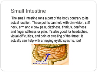12 channels channels of divergences | PPTX
