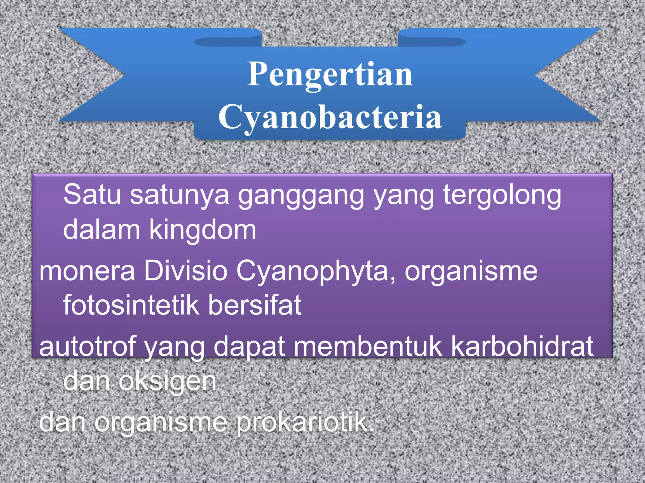 12 ciri khusus cyanobacteria | PPTX