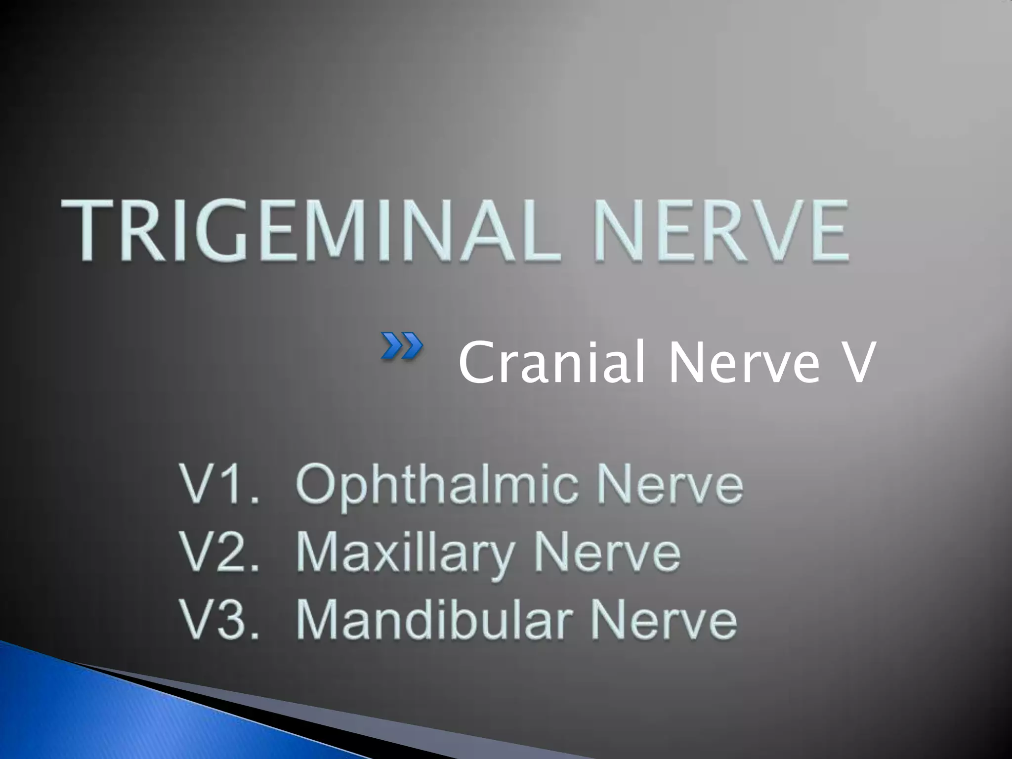 12 cranial nerves | PPTX