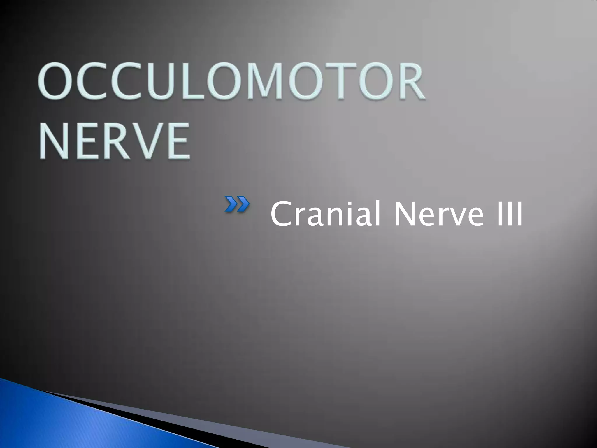 12 cranial nerves | PPTX