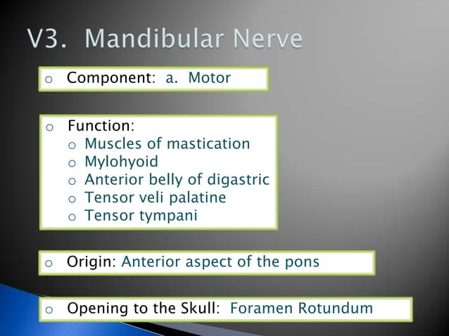 12 cranial nerves | PPTX