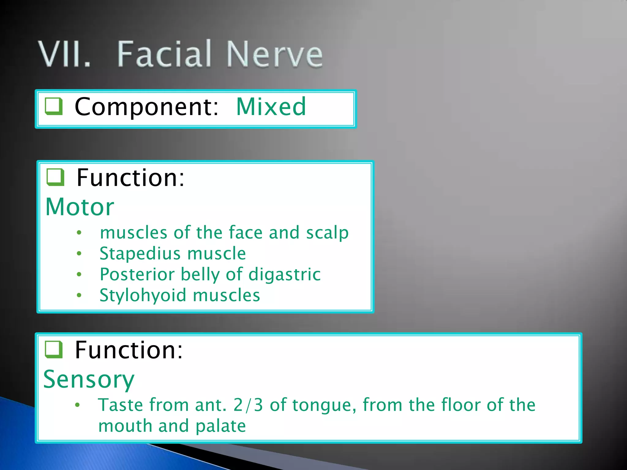 12 cranial nerves | PPTX