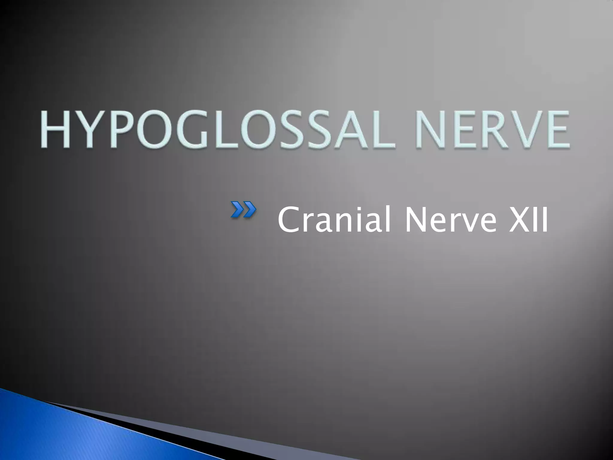 12 cranial nerves | PPTX