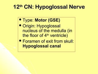 Anatomy 12 pair Cranial Nerves 11 & 12 .pptx