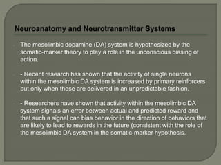 Presentation for Affective Neuroscience on Somatic Marker Hypothesis | PPTX
