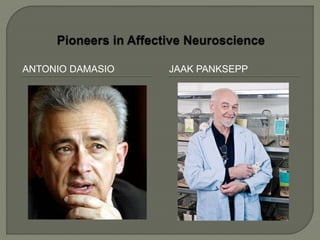 Presentation for Affective Neuroscience on Somatic Marker Hypothesis | PPTX