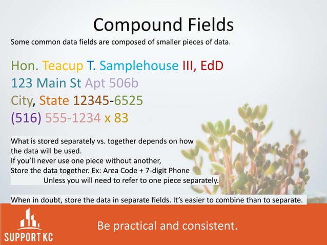 12 Data Best Practices Slide Presentation 1pptx