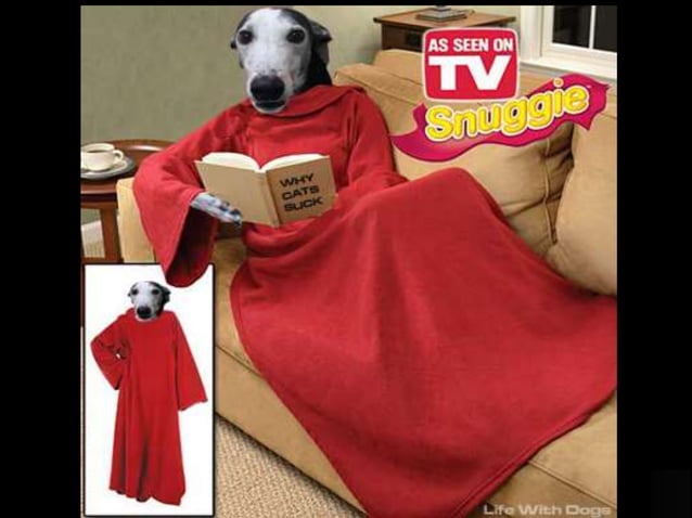 12 days of christmas v2.1 (snuggie) | PPTX