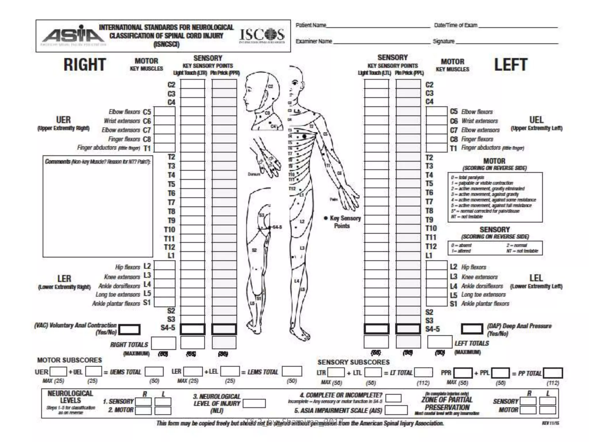 DERMATOME.pptx