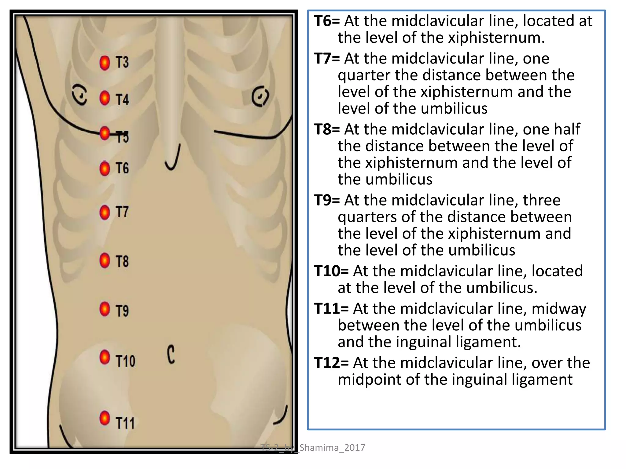 DERMATOME.pptx