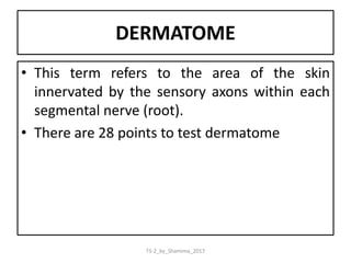 DERMATOME.pptx