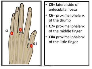 DERMATOME.pptx