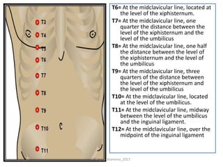 DERMATOME.pptx