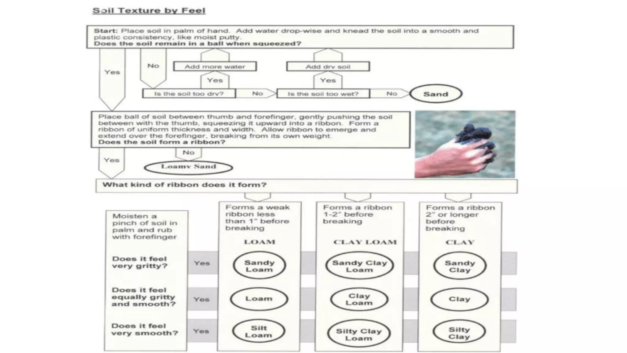 Determination of soil texture | PDF