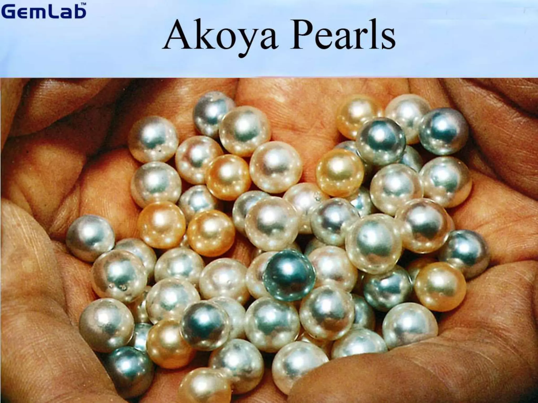 12 Different Types Of Pearl Stone | PPTX