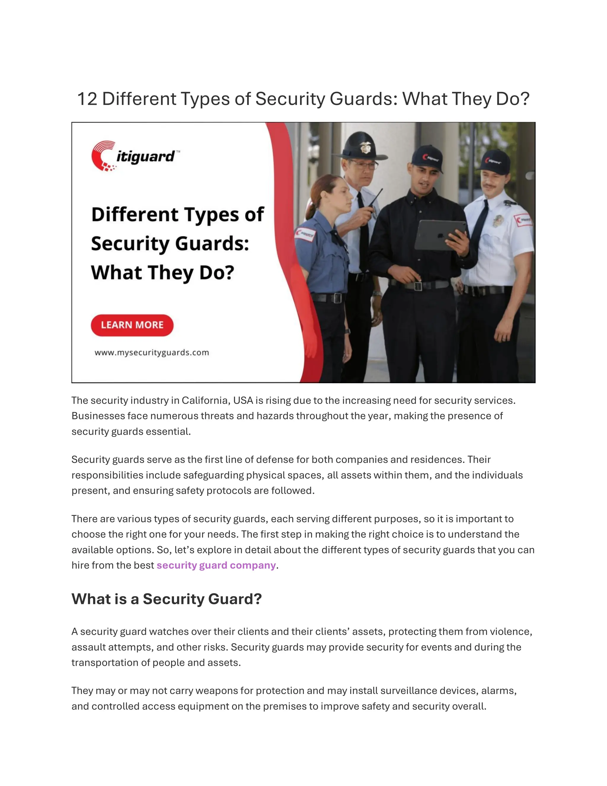 12 Different Types of Security Guards What They Do.pdf