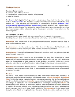 #12. Digestive Anatomy Lecture Notes.pdf