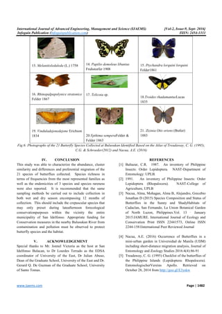 Diversity of Butterflies (Rhopalocera) inBulusukan (San Idelfonso ...
