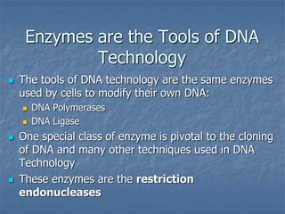 12 DNA recomb Tech for the new gene and new info(1).ppt