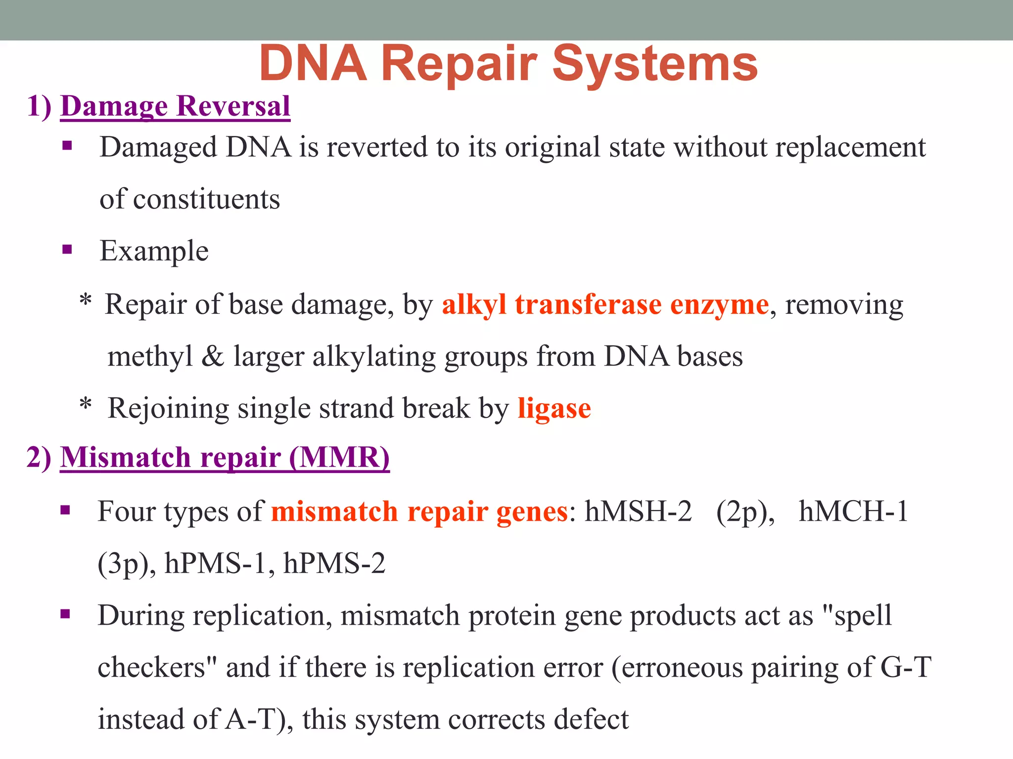 DNA repair | PPT