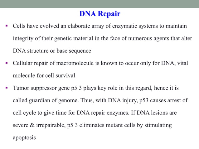 DNA repair | PPT