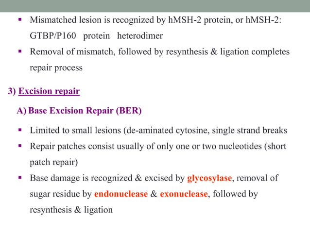 DNA repair | PPT
