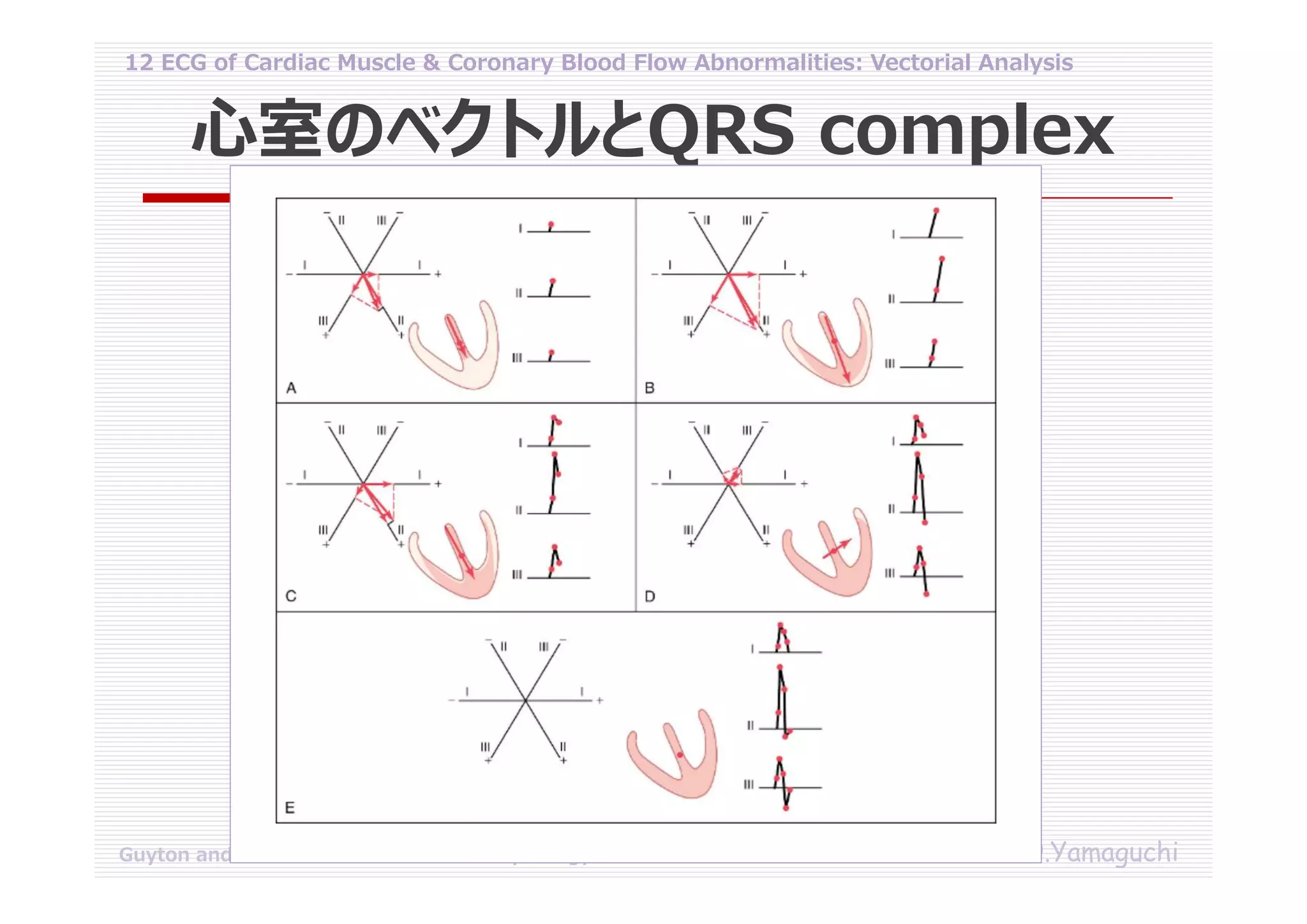 12 ecg of cardiac muscle & coronary blood flow abnormalities vectorial ...