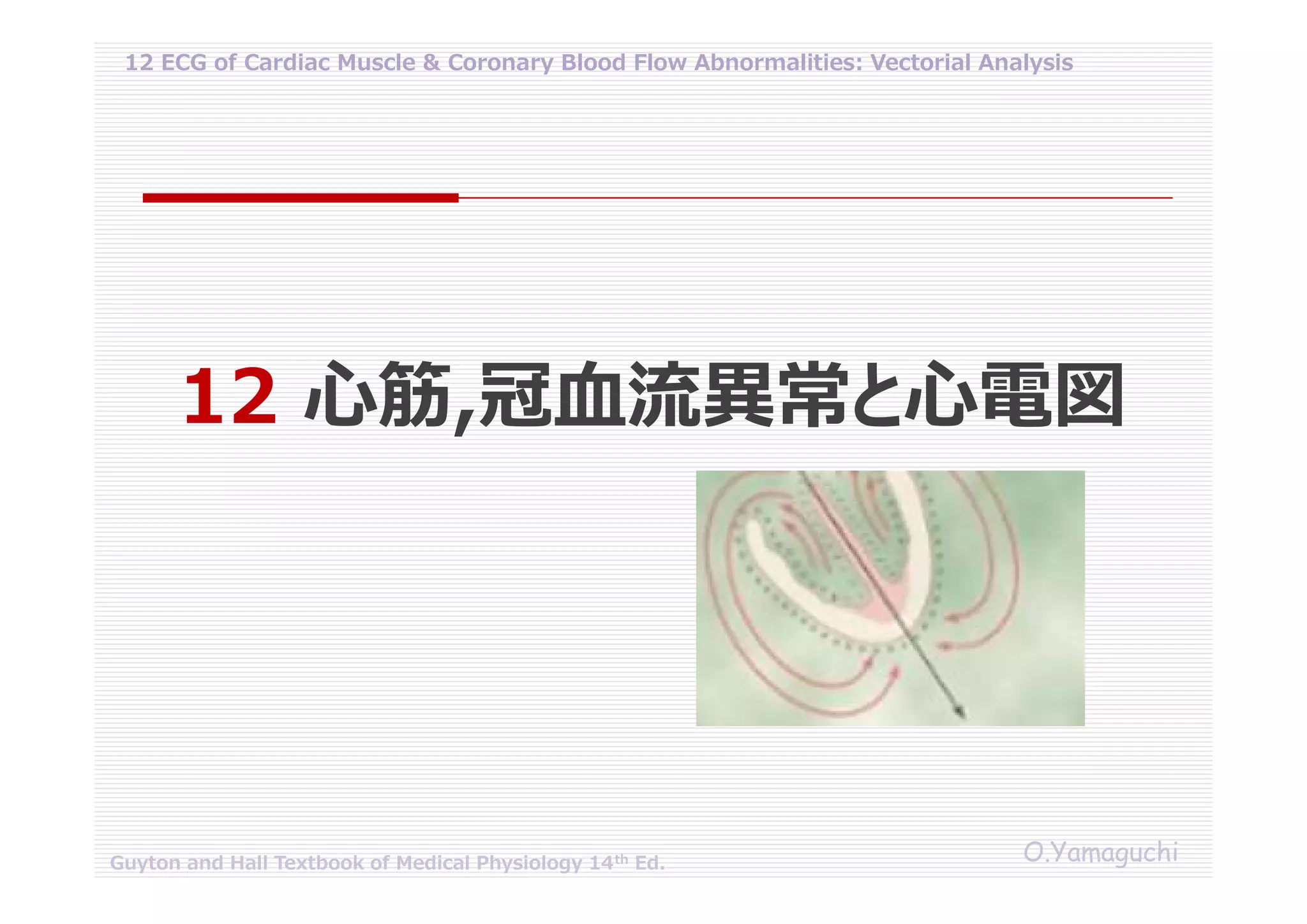 12 ecg of cardiac muscle & coronary blood flow abnormalities vectorial ...