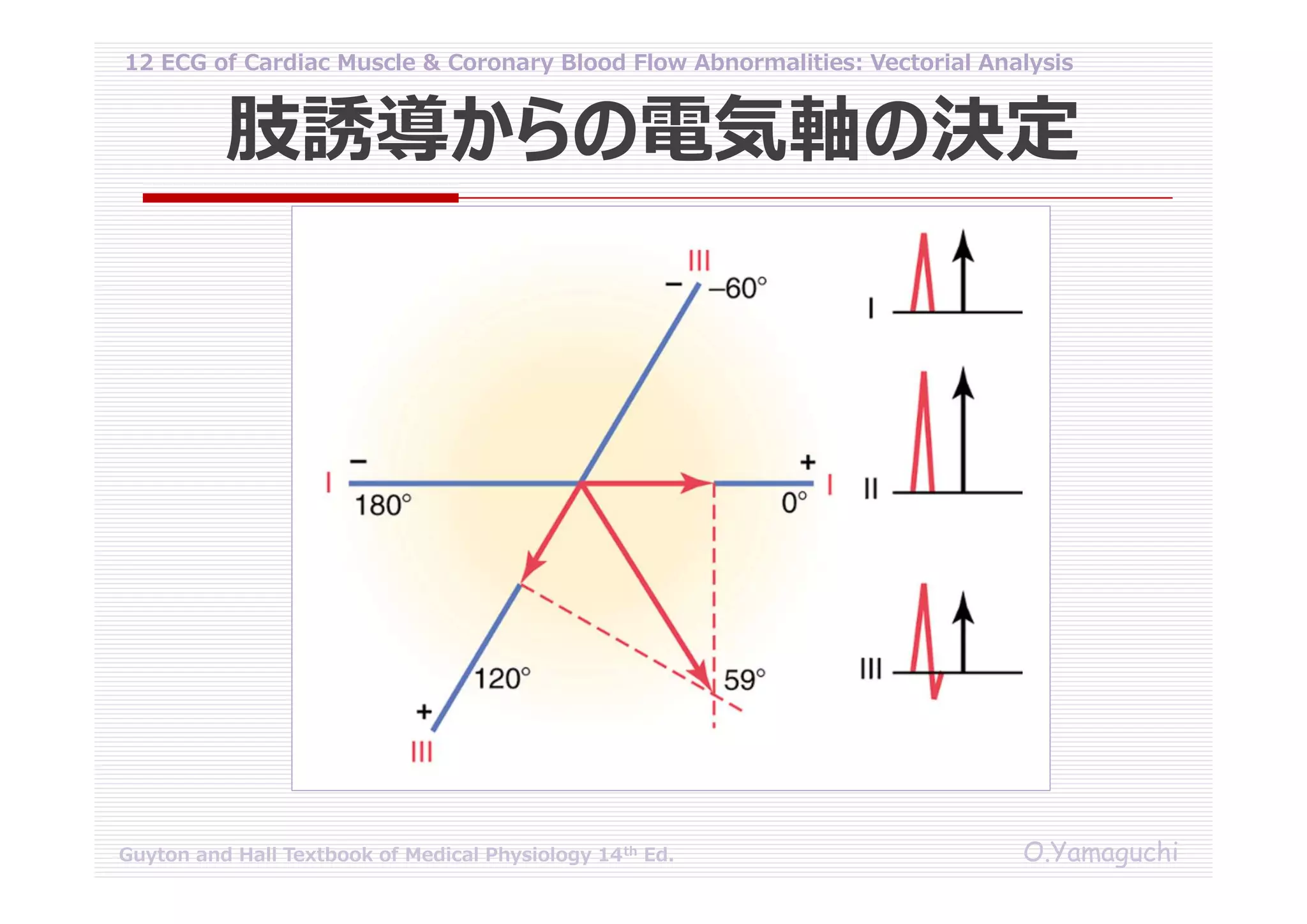 12 ecg of cardiac muscle & coronary blood flow abnormalities vectorial ...